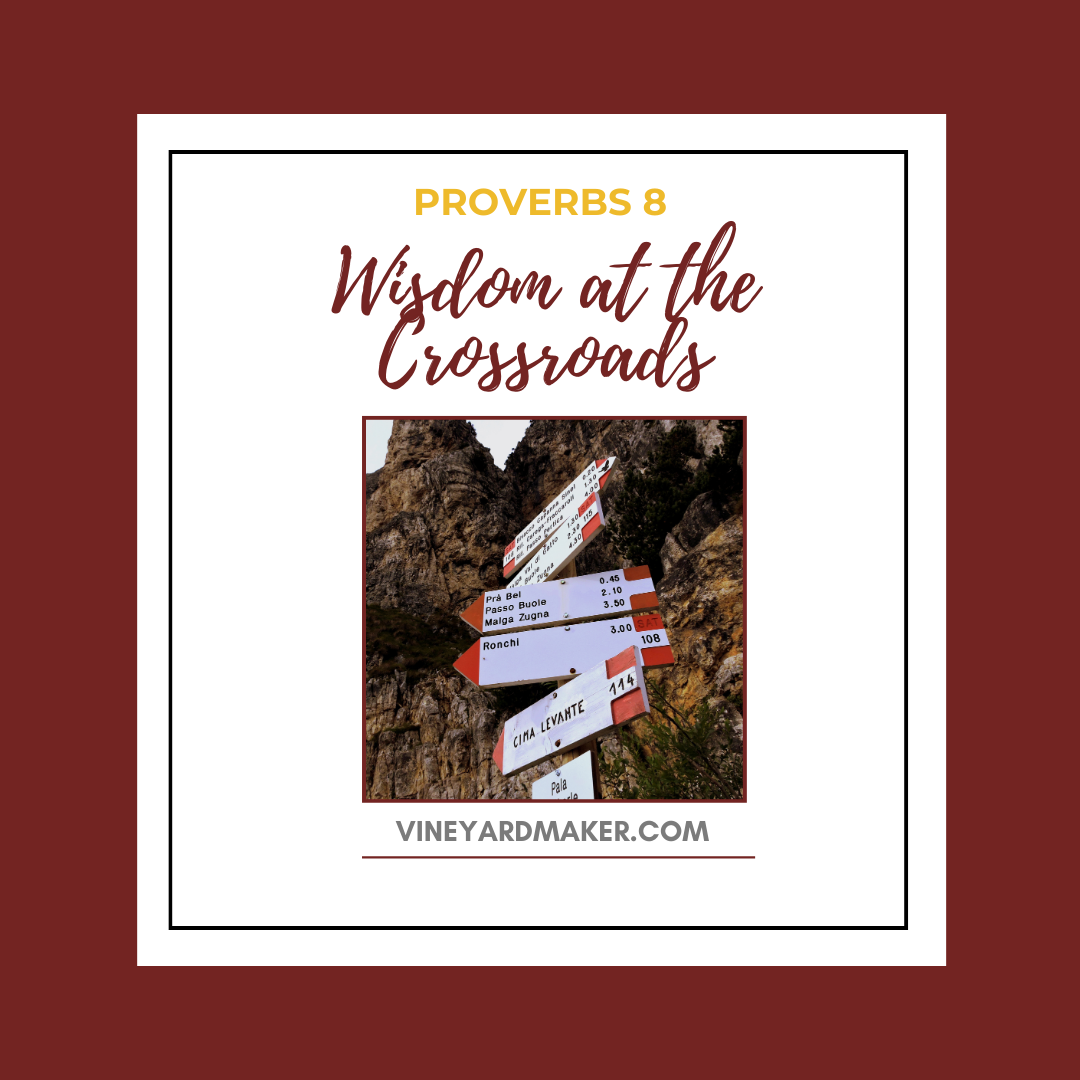 Proverbs 8: A Practical Theology for Daily Life - Vineyardmaker